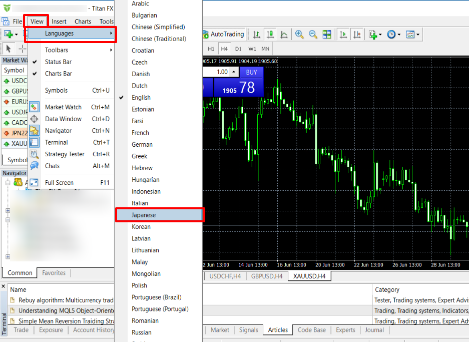 Beeks VPSのインストール方法（Windows） – Titan FX